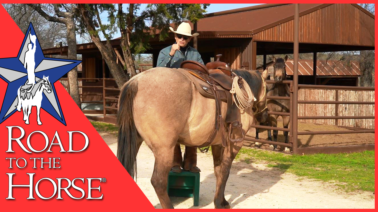 Training Tip: Craig Cameron on Mounting Blocks - Road To The Horse