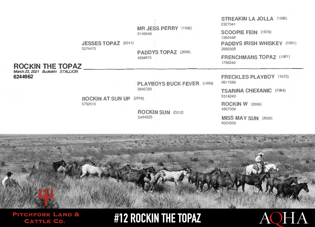 Championship Remuda Road To The Horse Championship Remuda Road To The Horse