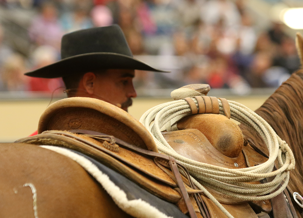 RTTH 2026 Day Tickets On Sale March 16! - Road To The Horse