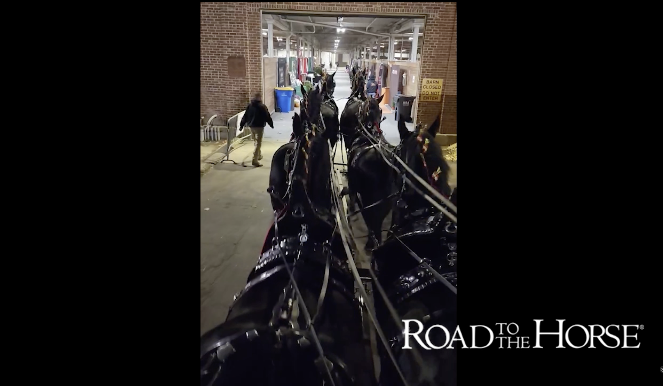 Fan Favorite Draft Horses: Inside Whispery Pines Percherons - Road To ...